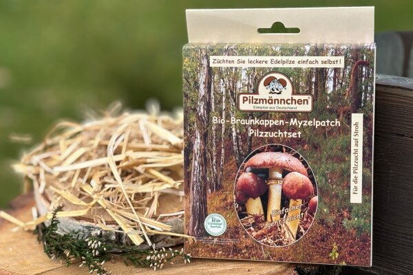 Myzel-Patch Pilzzuchtset kaufen