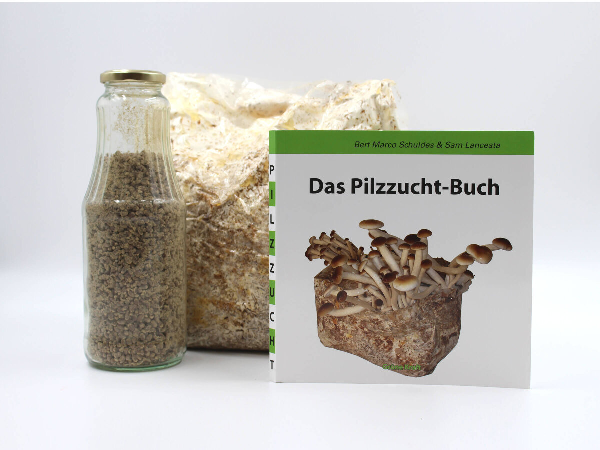 Pilze züchten - Pilzzuchtsets vom Profi | Pilzmännchen Shop