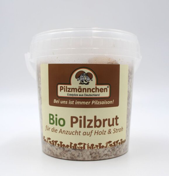 Pilzbrut Kaufen Baumarkt